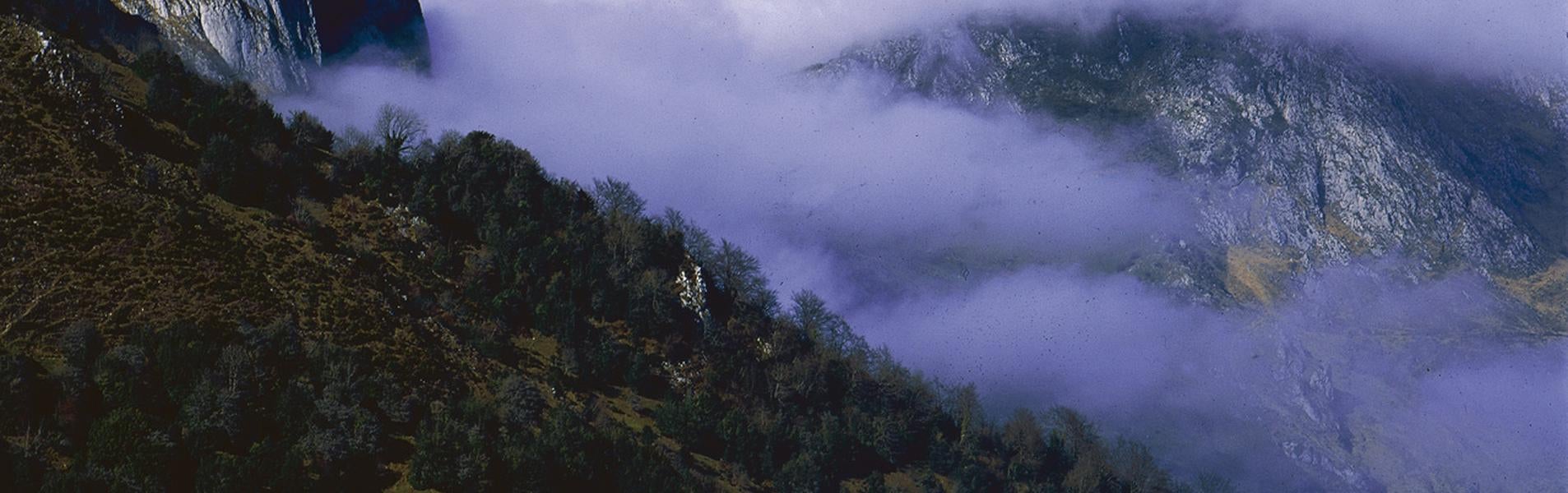 Riosa | Guía Repsol