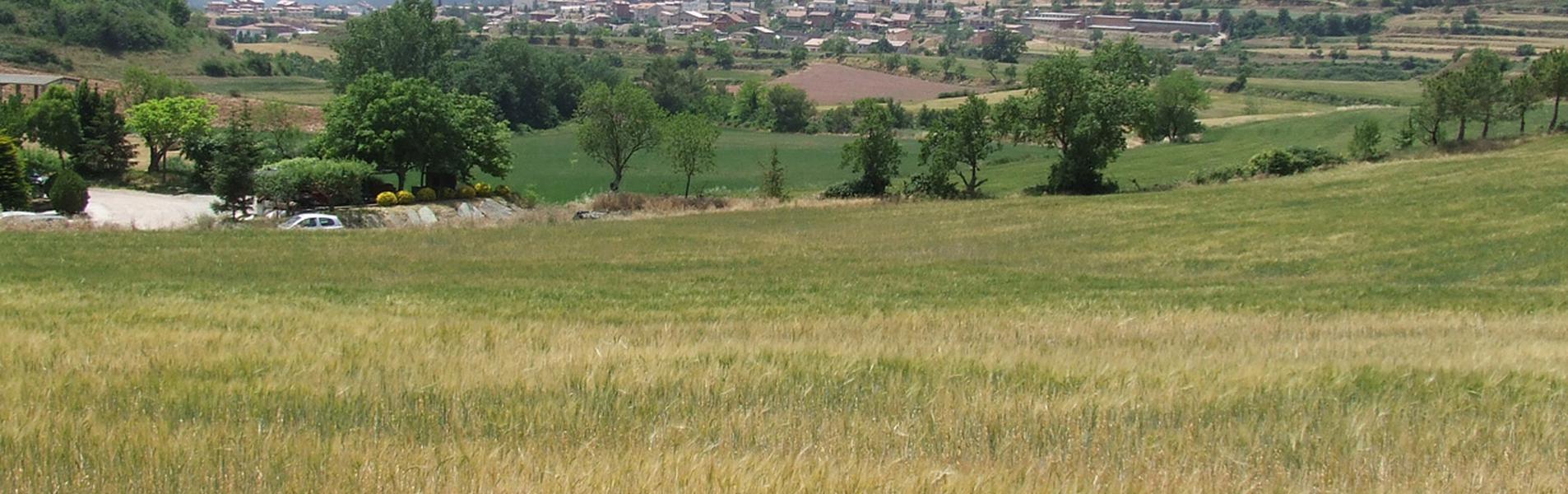 Moià | Guía Repsol