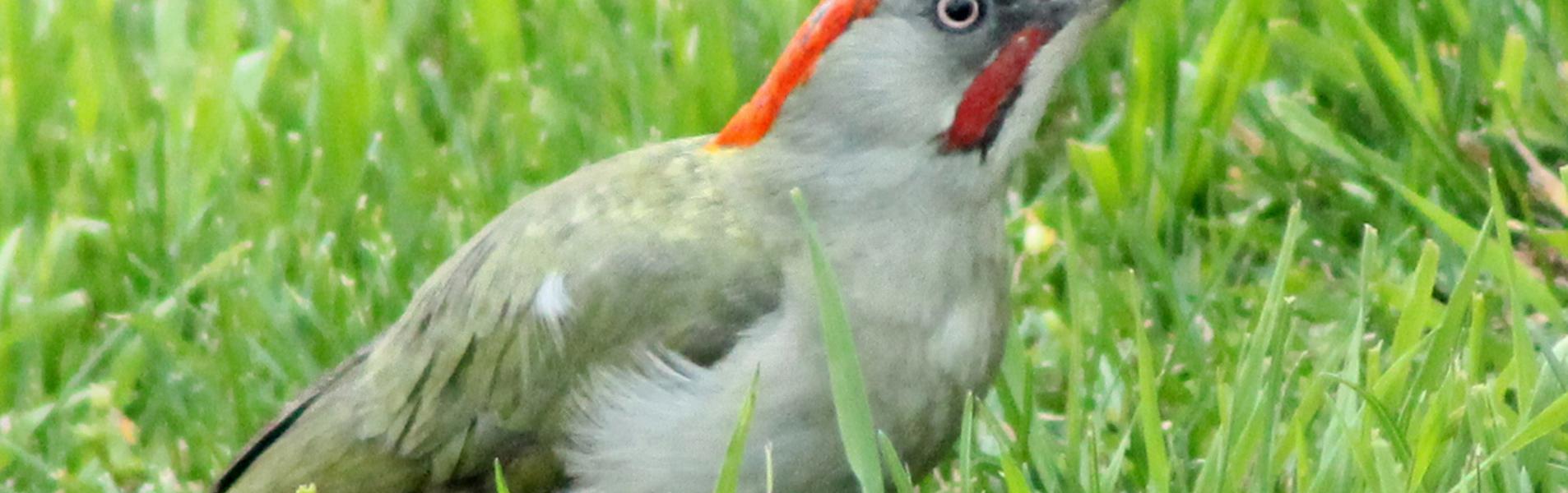 Villaflores | Guía Repsol