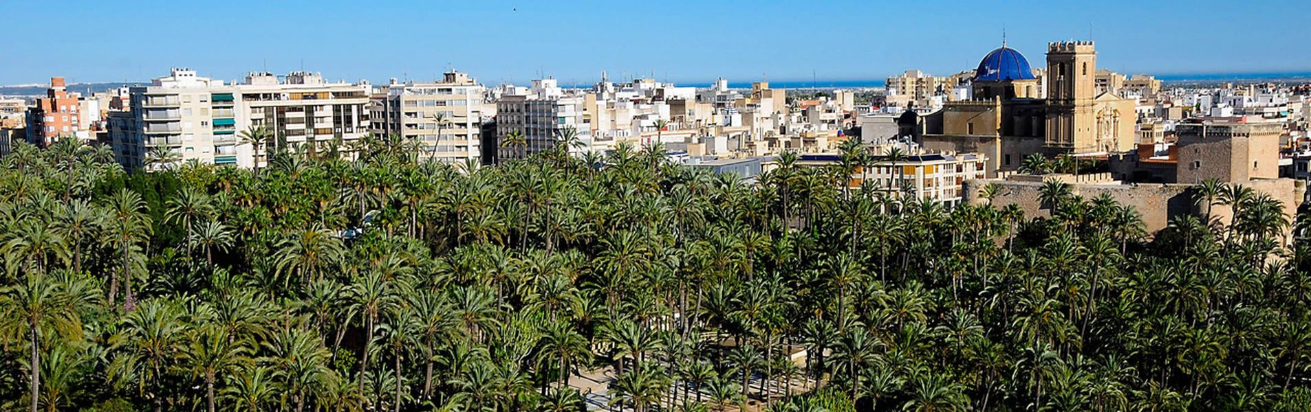 Elche/Elx | Guía Repsol