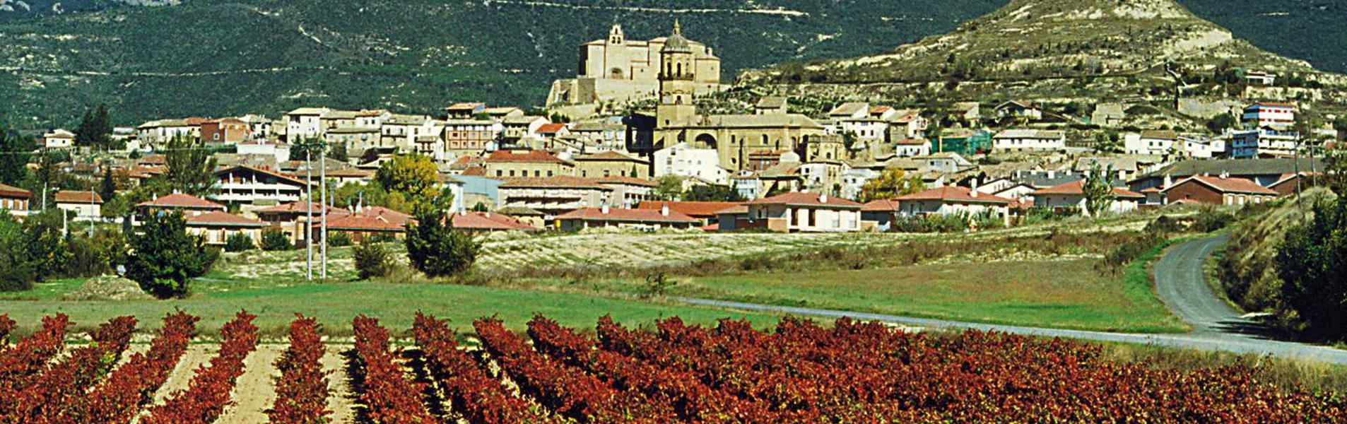 Labastida/Bastida | Guía Repsol