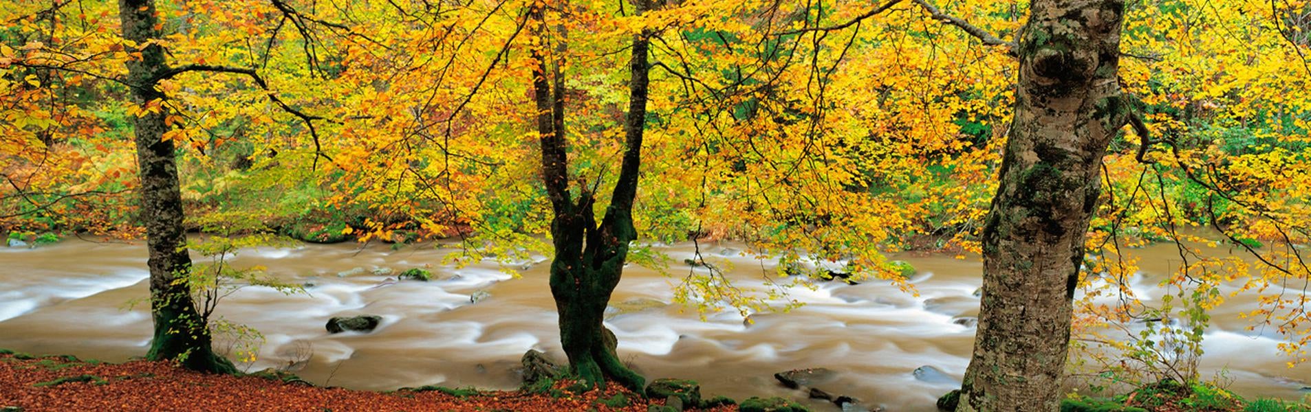 Orreaga/Roncesvalles | Guía Repsol